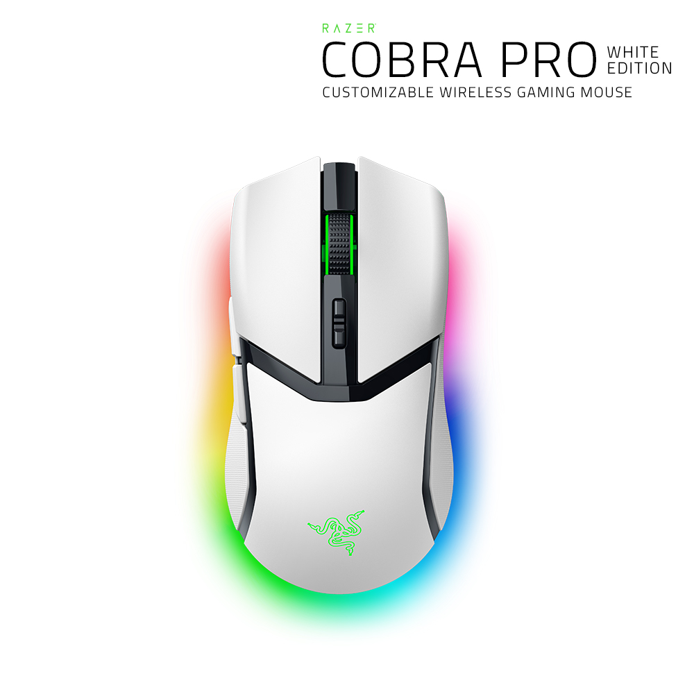 razer cobra pro : 다나와 통합검색