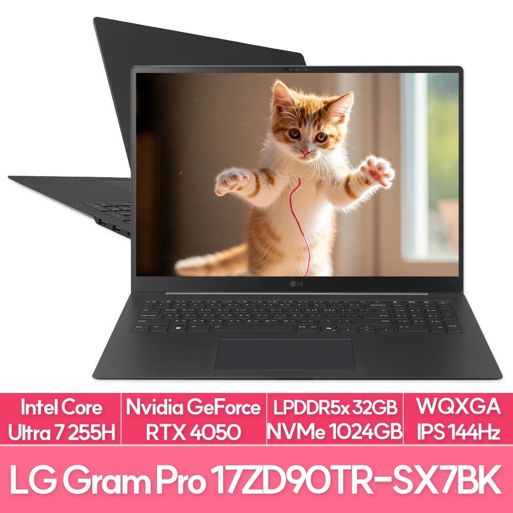 17zd90tr-sx7bk : 다나와 통합검색