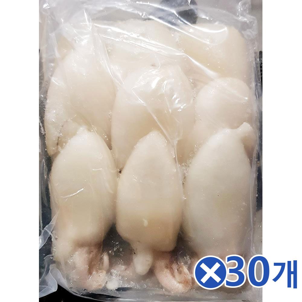 갑오징어 : 다나와 통합검색